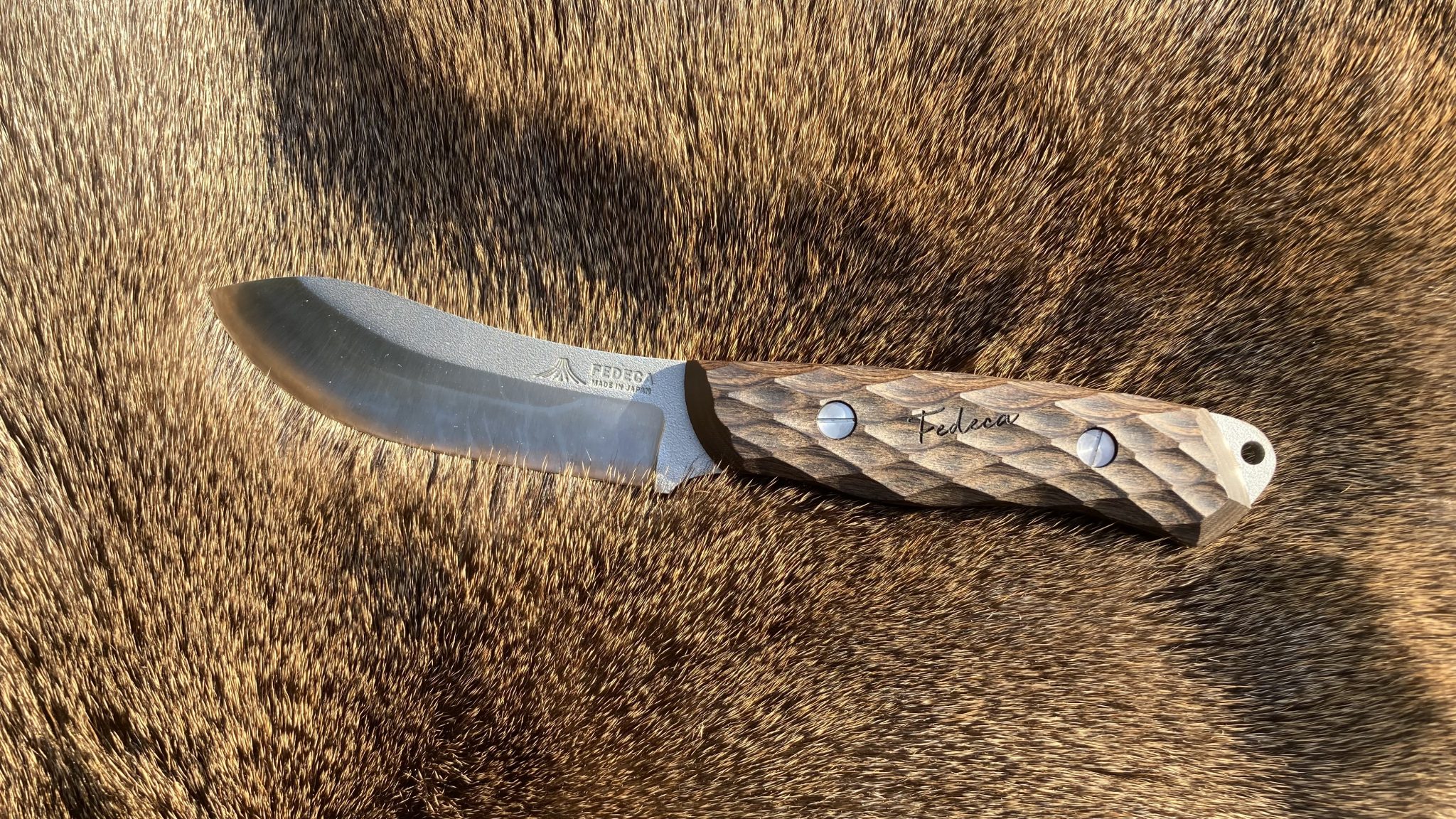 1本でここまで！料理好きキャンパーに推したいFEDECAブッシュクラフトナイフの魅力をレビュー | 道具・ギア 【BE-PAL】キャンプ、アウトドア、自然派生活の情報源ビーパル