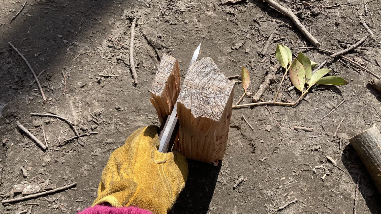 1本でここまで！料理好きキャンパーに推したいFEDECAブッシュクラフトナイフの魅力をレビュー | 道具・ギア 【BE-PAL】キャンプ、アウトドア、自然派生活の情報源ビーパル